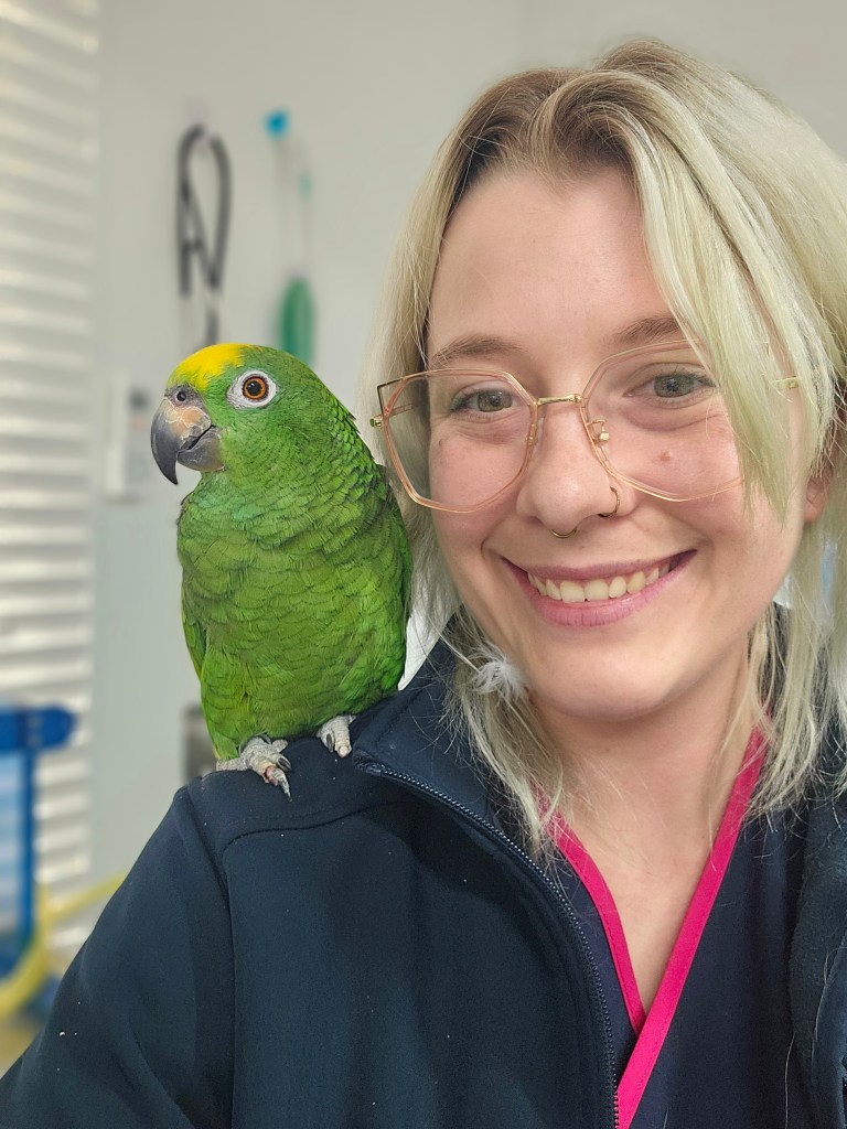Meet The Team – The Exotics Vet