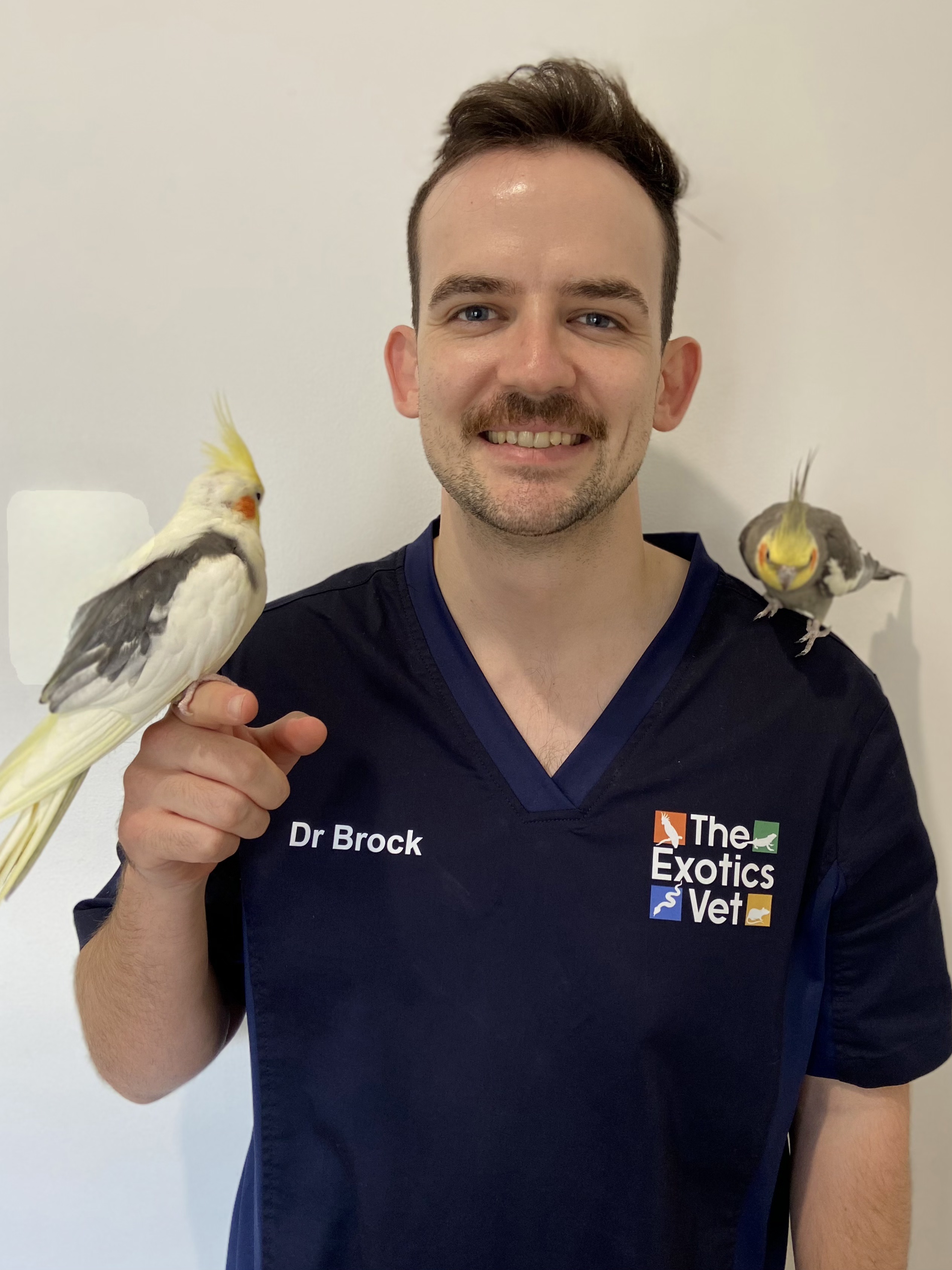 Meet The Team – The Exotics Vet