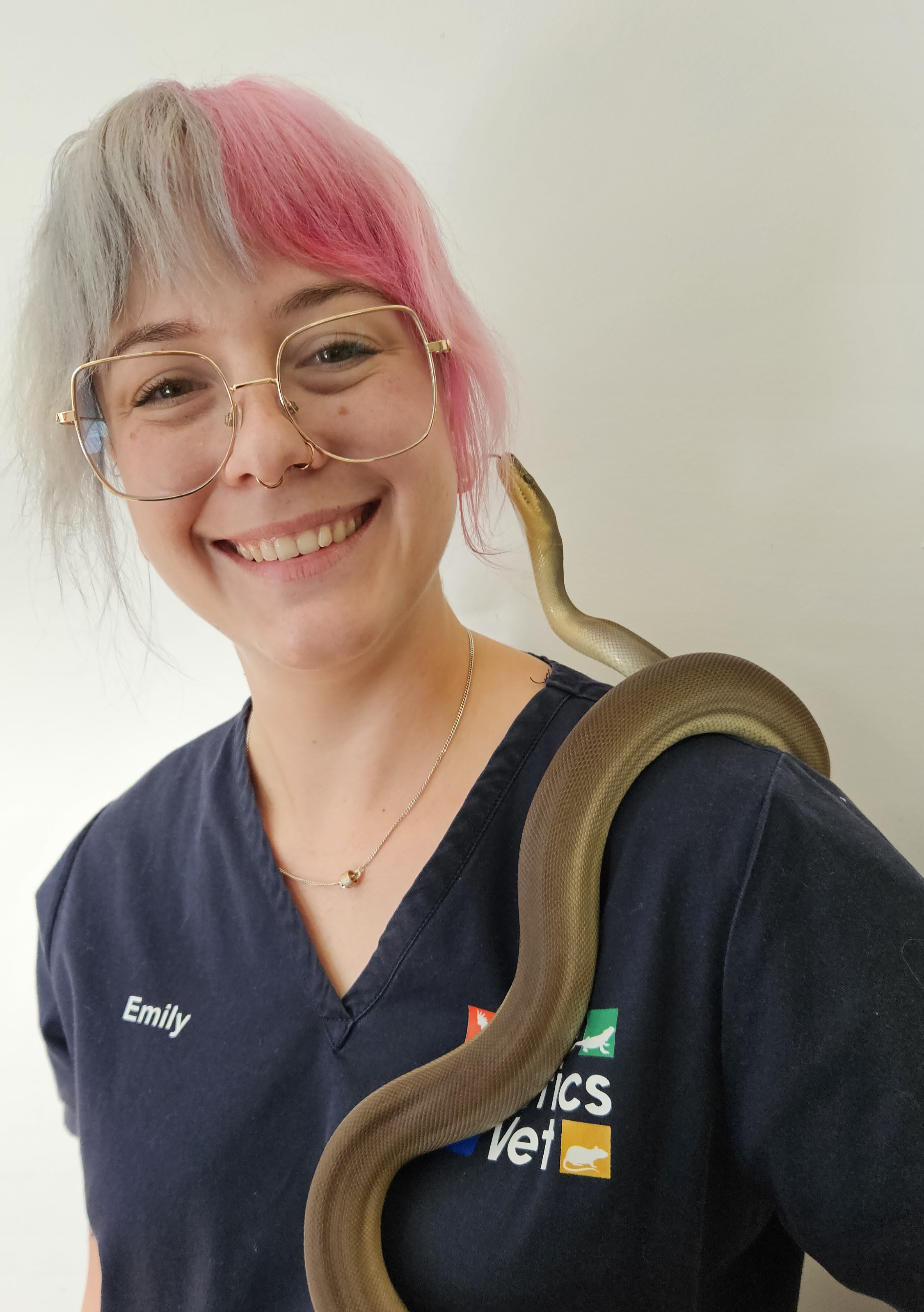 Meet The Team – The Exotics Vet
